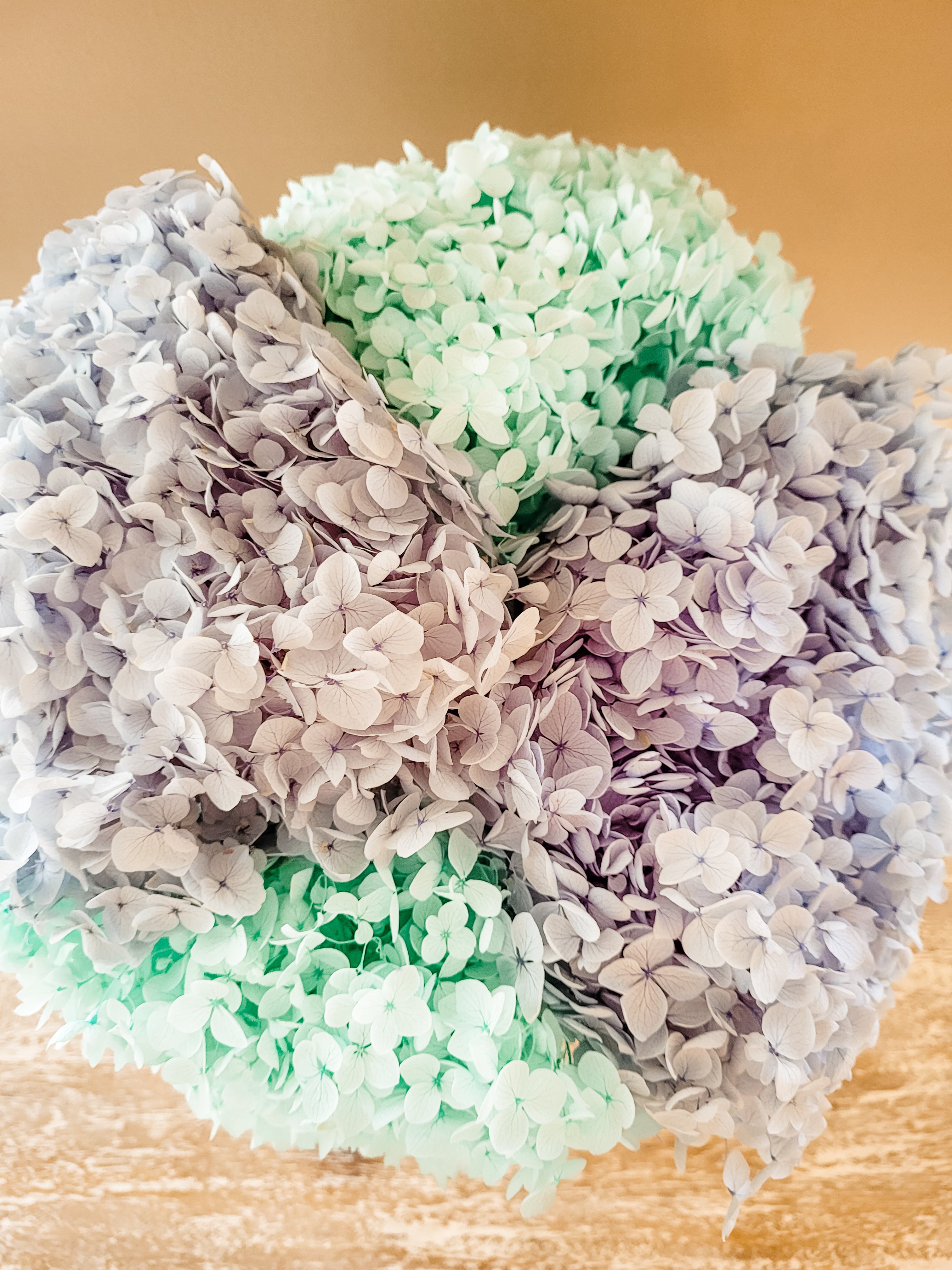 Ryder – Alaska's White Castles